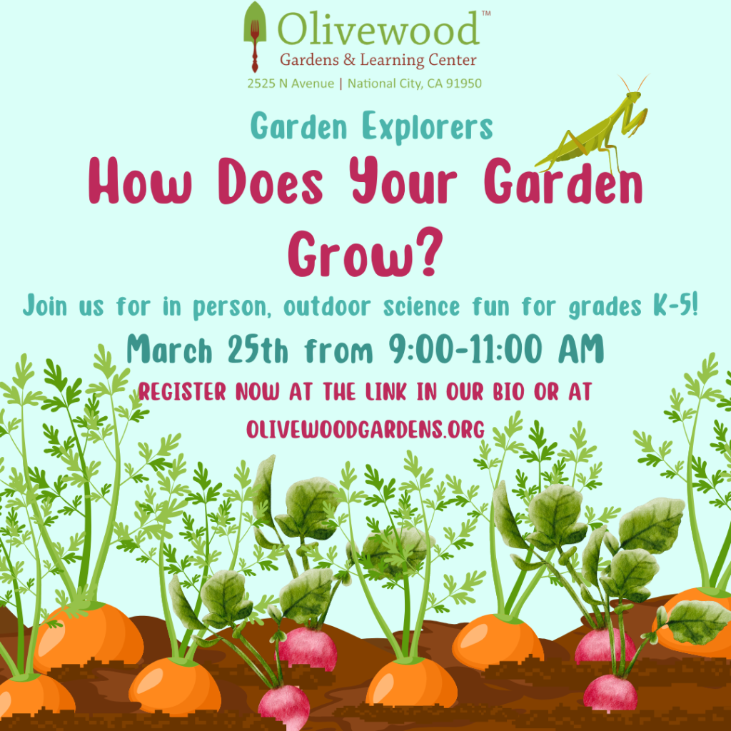 Mission, Vision & Core Values - Olivewood Gardens