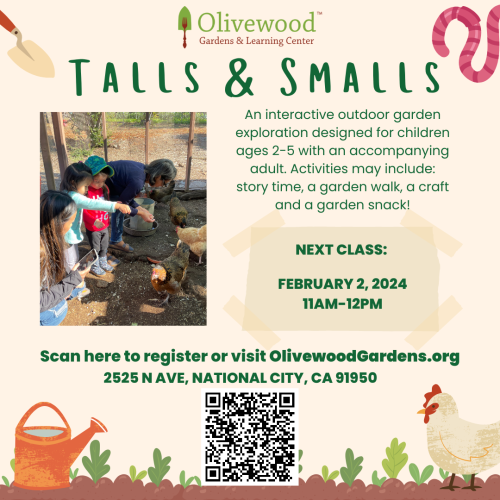 Talls And Smalls February Olivewood Gardens