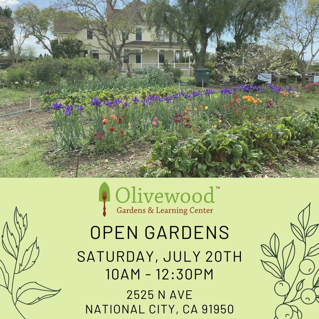 Open Gardens - Olivewood Gardens