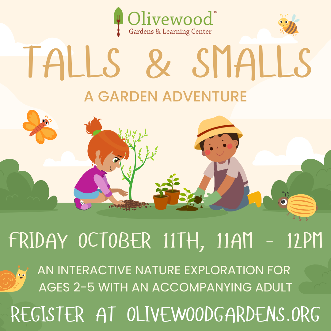 Talls & Smalls October - Olivewood Gardens